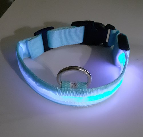 Svetleća ogrlica sa USB-om za pse M