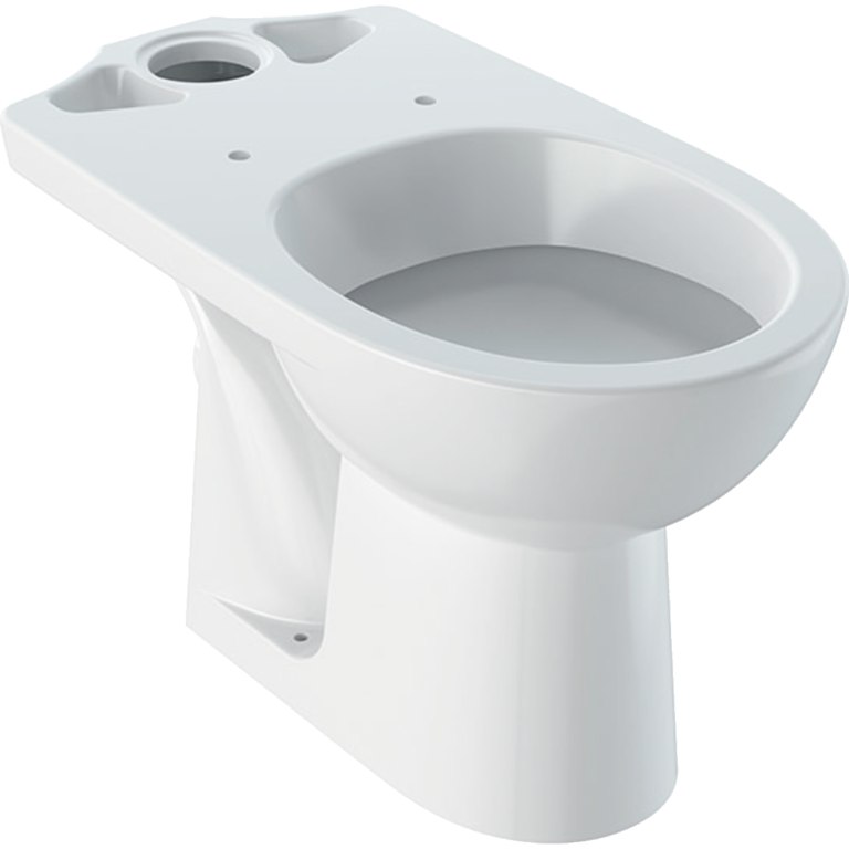 Geberit Selnova podna WC šolja za predzidni vodokotlić za monoblok, sa dubokim ispiranjem, horizontalni odvod, Rimfree 66.5 cm
