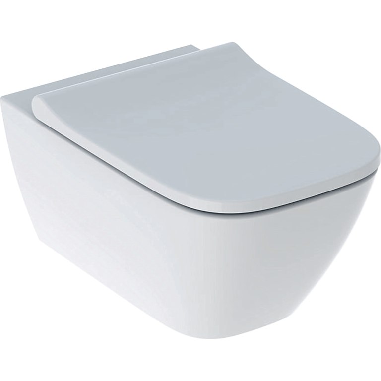 Geberit Selnova set konzolne WC šolje, Rimfree, vidljivo kačenje, sa Softclose WC sedištem, 53 cm
