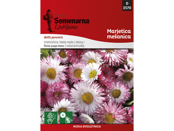 Seme za cveće Bela Rada - mešavina - Bellis perennis 2570