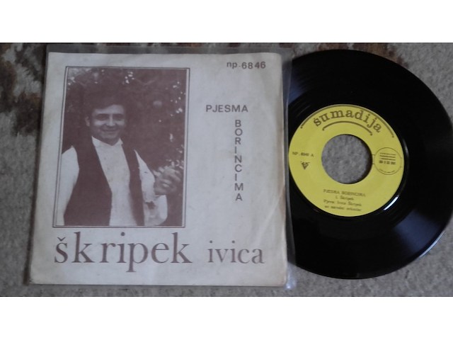 Ivica Škripek  - Pjesma Borincima