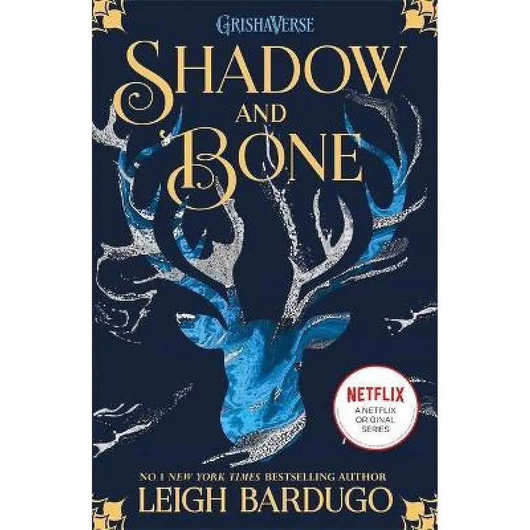 SHADOW AND BONE TikTok Hit book 1