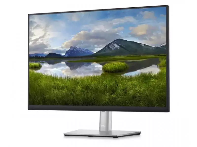 DELL P2423 PROFESSIONAL IPS MONITOR