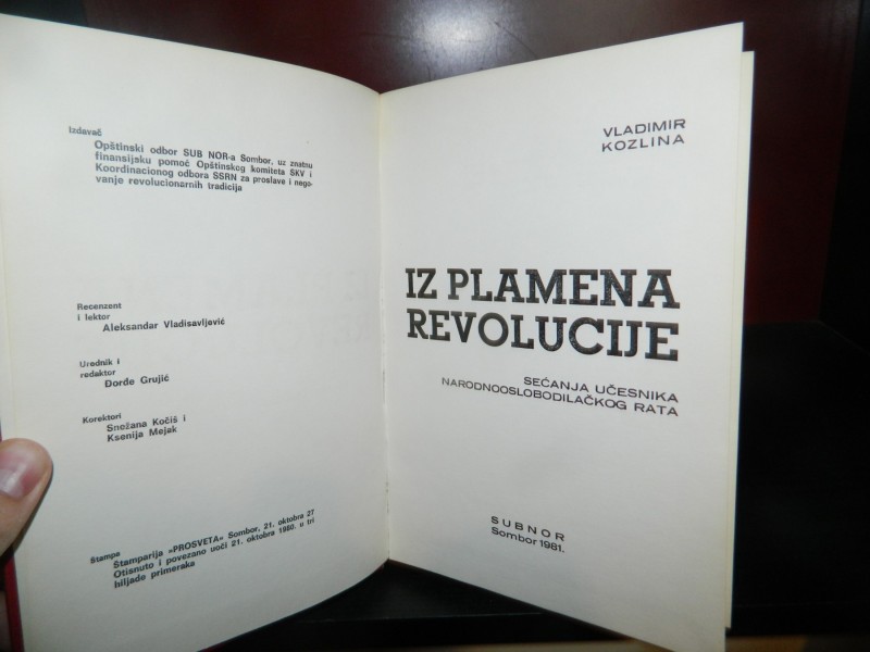 Iz plamena revolucije, Vladimir Kozlina