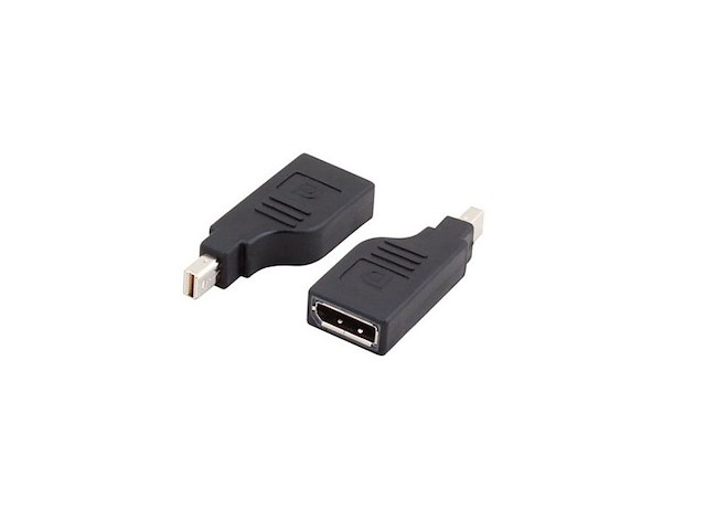DisplayPort to mini DisplayPort Adapter