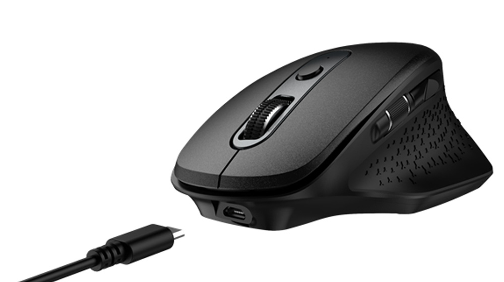 Ergo Pro Wireless Mouse