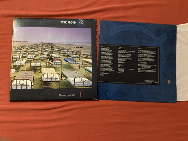 LP Pink Floyd-A Momentary Lapse Of Reason