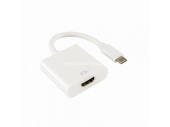 S BOX Adapter HDMI / Type C