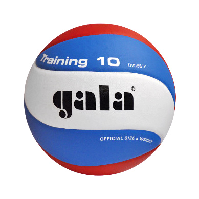 Odbojkaška lopta Gala Training 10