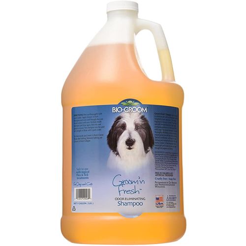 Bio-Groom Regenerator GROOM´N FRESH gallon 3,79 l