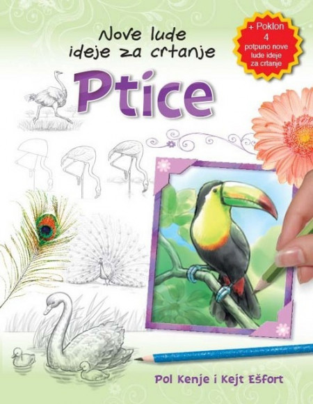 Nove lude ideje za crtanje - Ptice - Pol Kenje i Kejt Ešfort