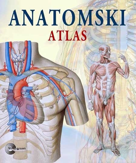 Anatomski atlas - Adrijana Riguti