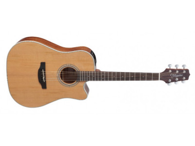 Takamine GD20CE NS