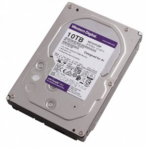 10 TB Purple Pro WD101PURP