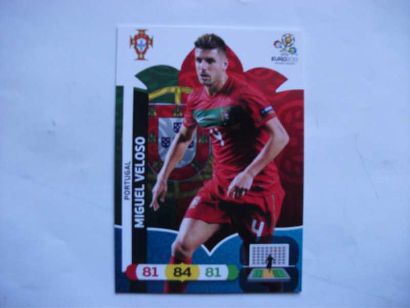 Euro 2012 nordic edition MIGUEL VELOSO