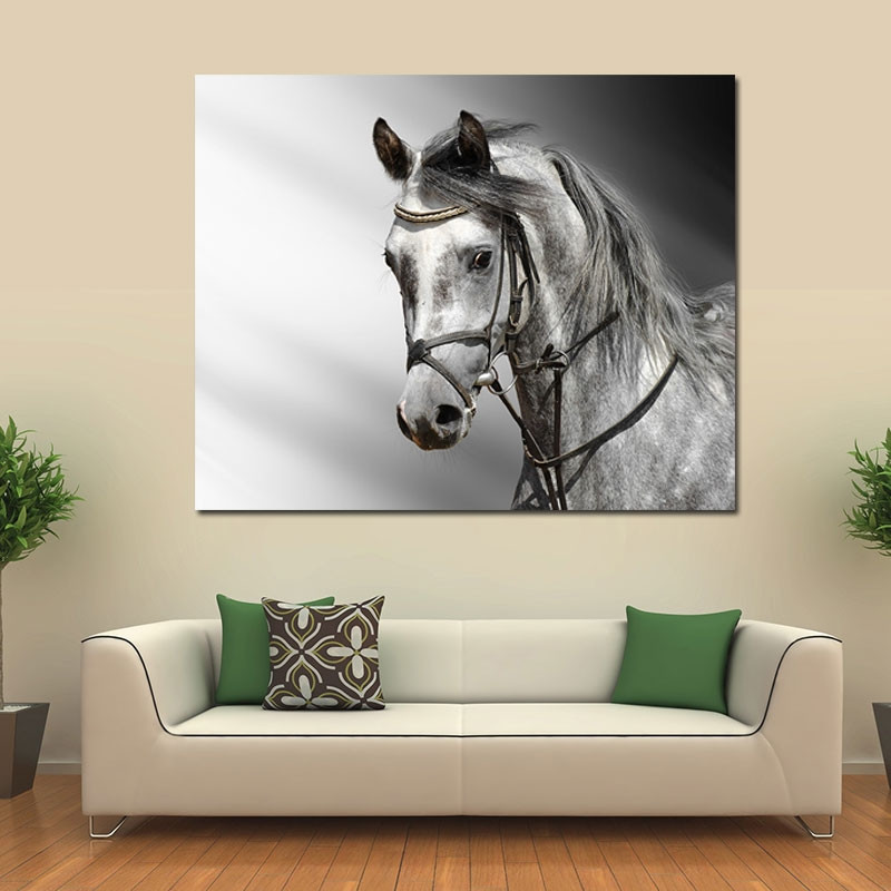 Portret Konja
Portret konja