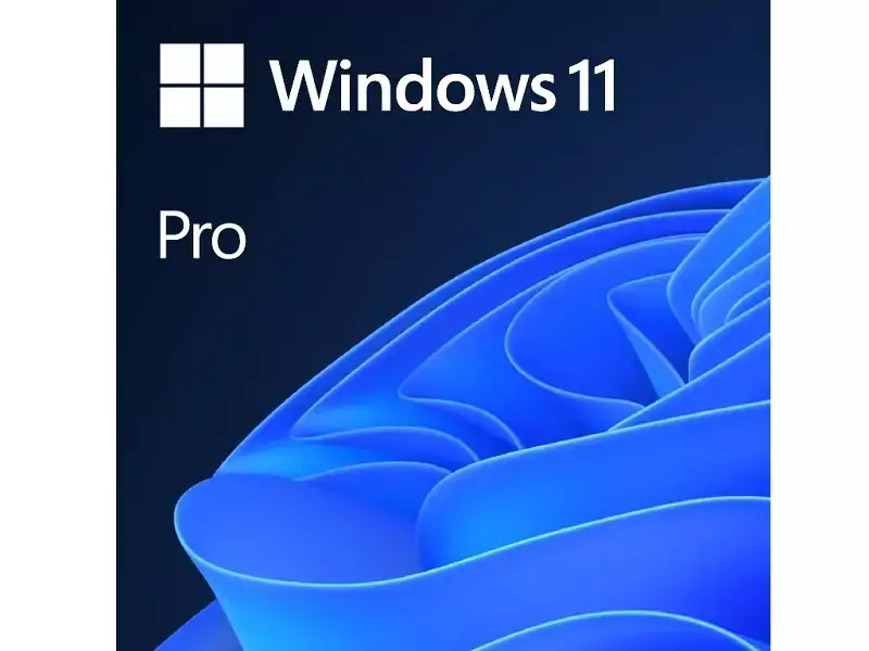 MICROSOFT WINDOWS 11 PRO 64BIT ENGLISH INT/DVD/1 PC (FQC-10528)