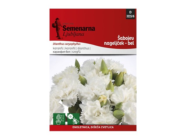 Seme za Karanfil šabo - beli - Dianthus caryophyllus 3225/6