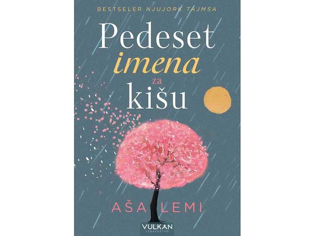 Pedeset imena za kišu - Aša Lemi