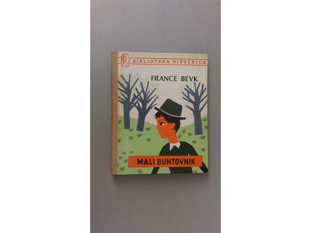 Mali buntovnik - France Bevk