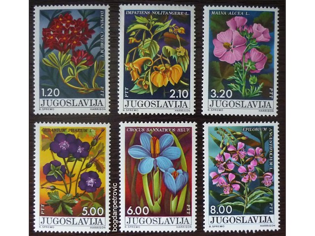 1975.Jugoslavija-Flora,šumsko bilje-MNH