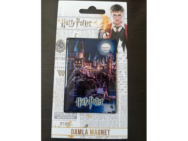 Harry Potter magnet