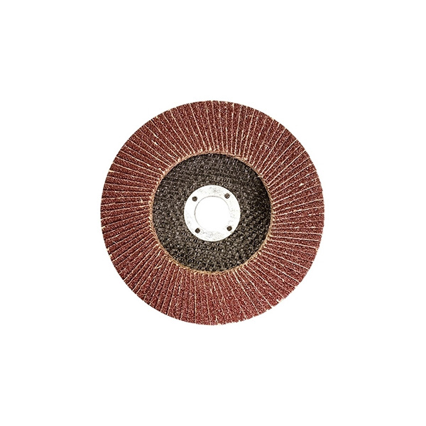 Brusni disk lamelasti 125 mm P 100 740479