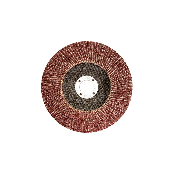 Brusni disk lamelasti 125 mm P 60 740439