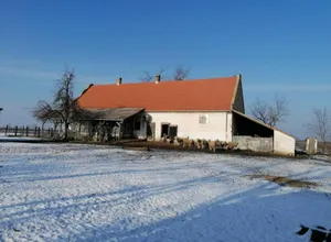 Prodaja Kuća - Novi Sad, Čenej