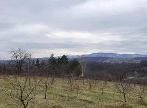 Prodaja Plac - Mionica, Rajković