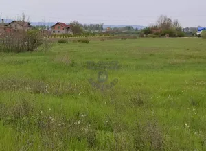 Prodaja Ostale nekretnine - Novi Sad, Klisa