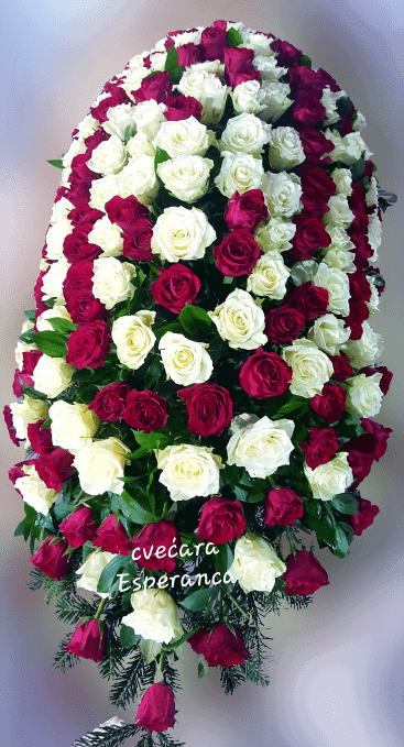 Suza za kovčeg – ruža crvena I bela 150 kom.