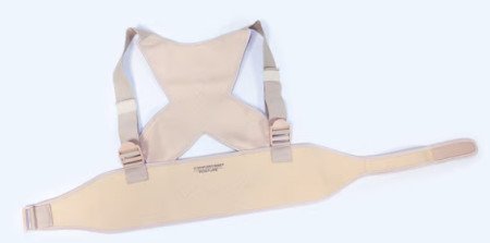 Comfortise podrška za leđa L/XL ( ART001701 )