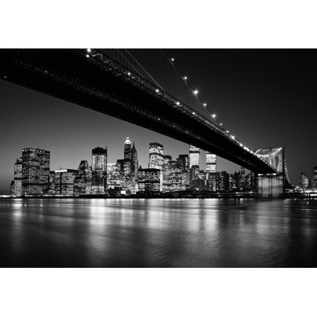 FOTOTAPET MANHATTAN SKYLINE 119