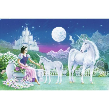 POSTER UNICORN PRINCESS 652