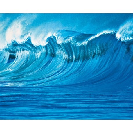 POSTER THE WAVE 902