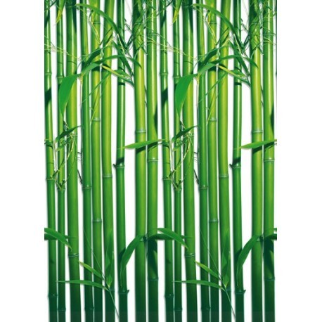 FOTOTAPET BAMBOO 421