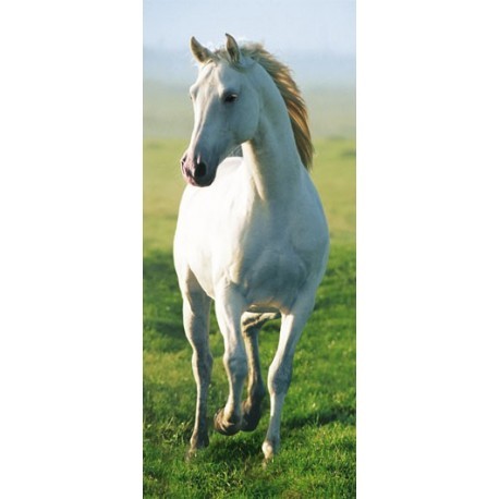 FOTOTAPET WHITE HORSE 514