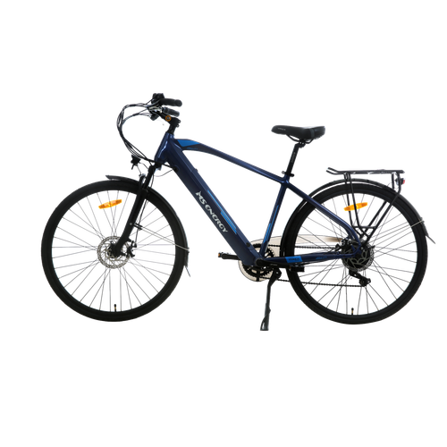 MS ENERGY eBike c11_L size