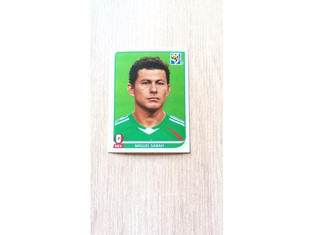 Južna Afrika broj 067 World cup 2010 Panini