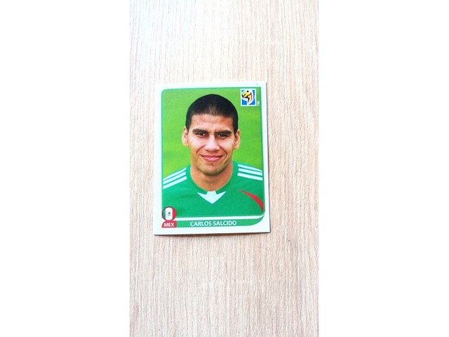 Južna Afrika broj 052 World cup 2010 Panini