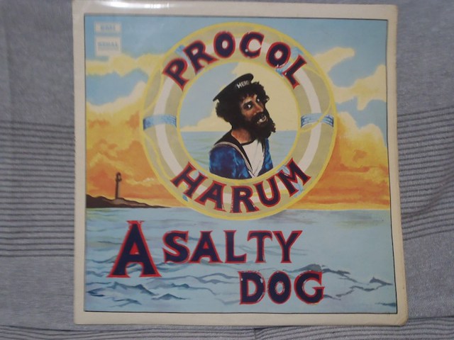 procol harum-a salty dog