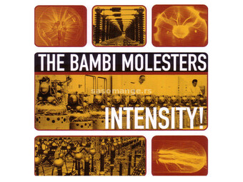 CDm LP Bambi Molesters-Intens