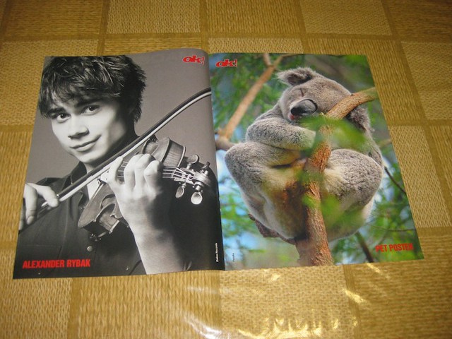Poster  Alexander Rybak, Pet poster Koala