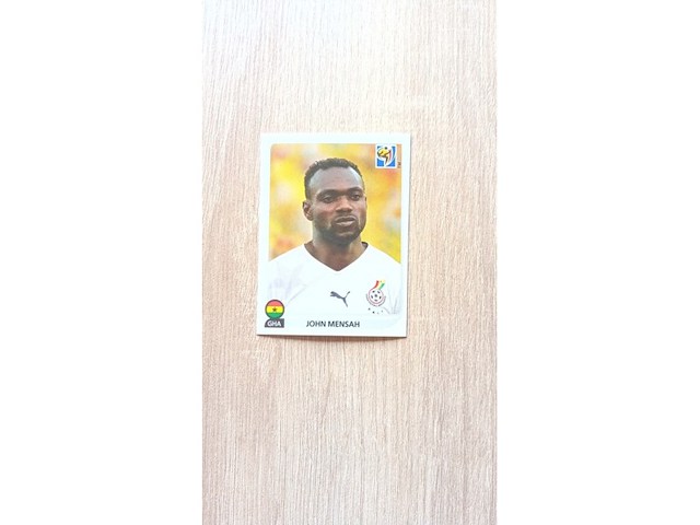 Južna Afrika broj 318 World cup 2010 Panini