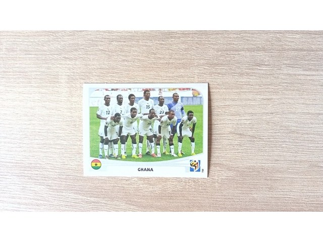 Južna Afrika broj 315 World cup 2010 Panini