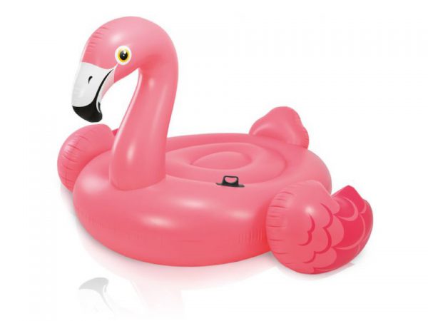 Dušek flamingo