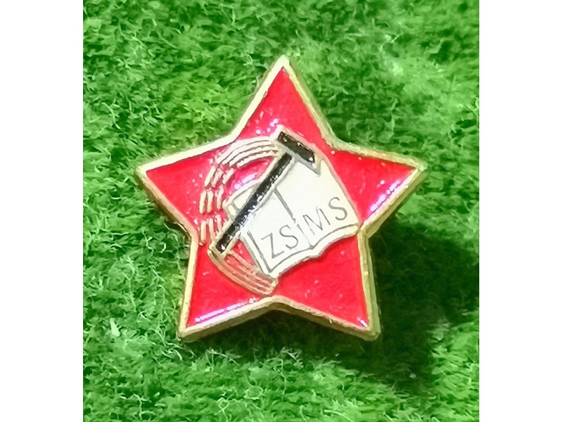 ZSMS.