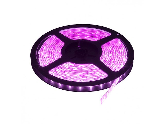 LED traka 60LED 3528 pink