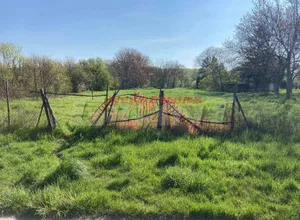 Prodaja Građevinsko zemljište - Palilula, Ovča